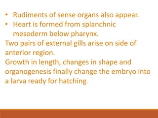 Organogenesis by AAR | PPTX