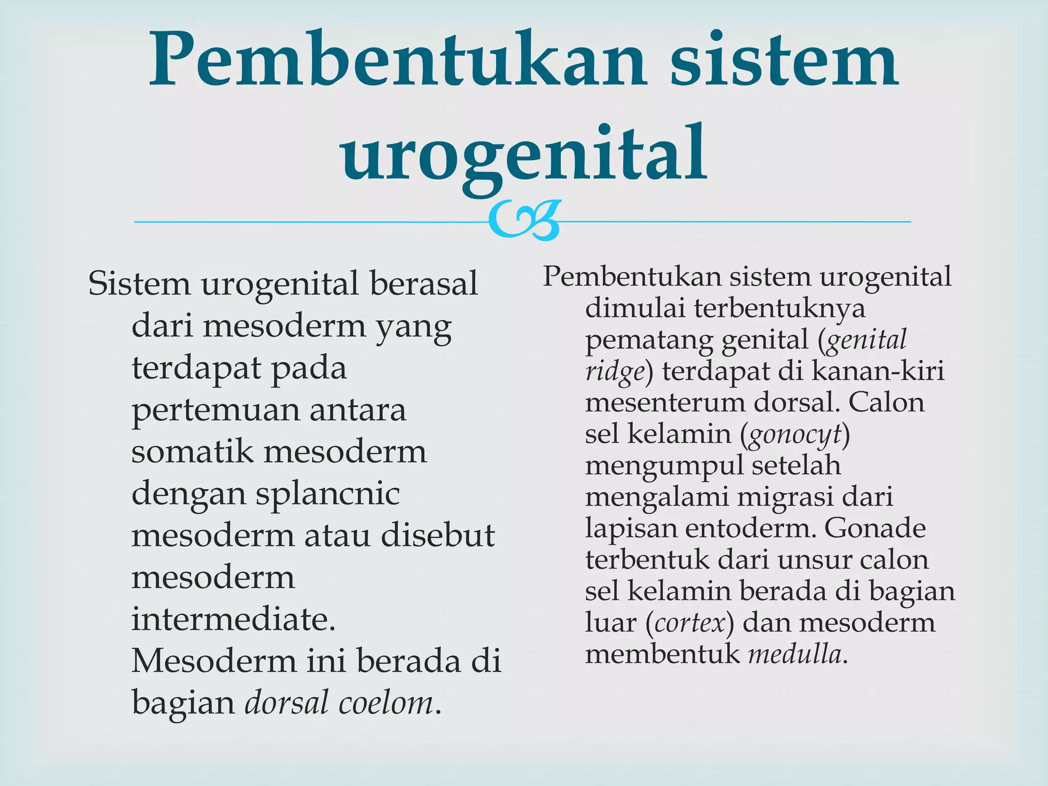 Organogenesis | PPTX