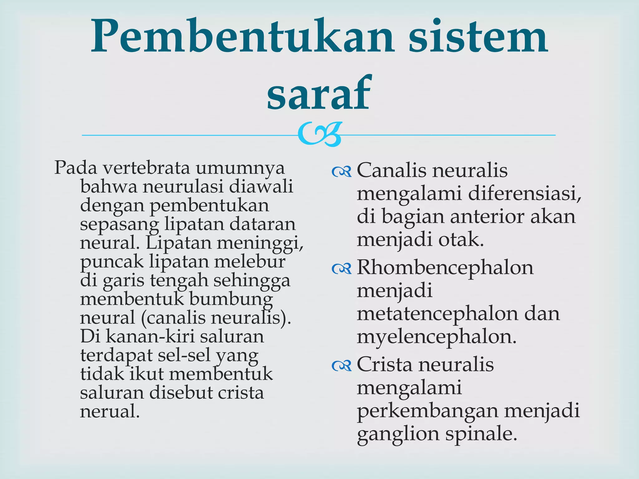 Organogenesis | PPTX