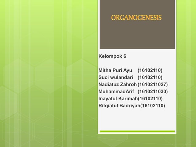 Organogenesis | PPTX