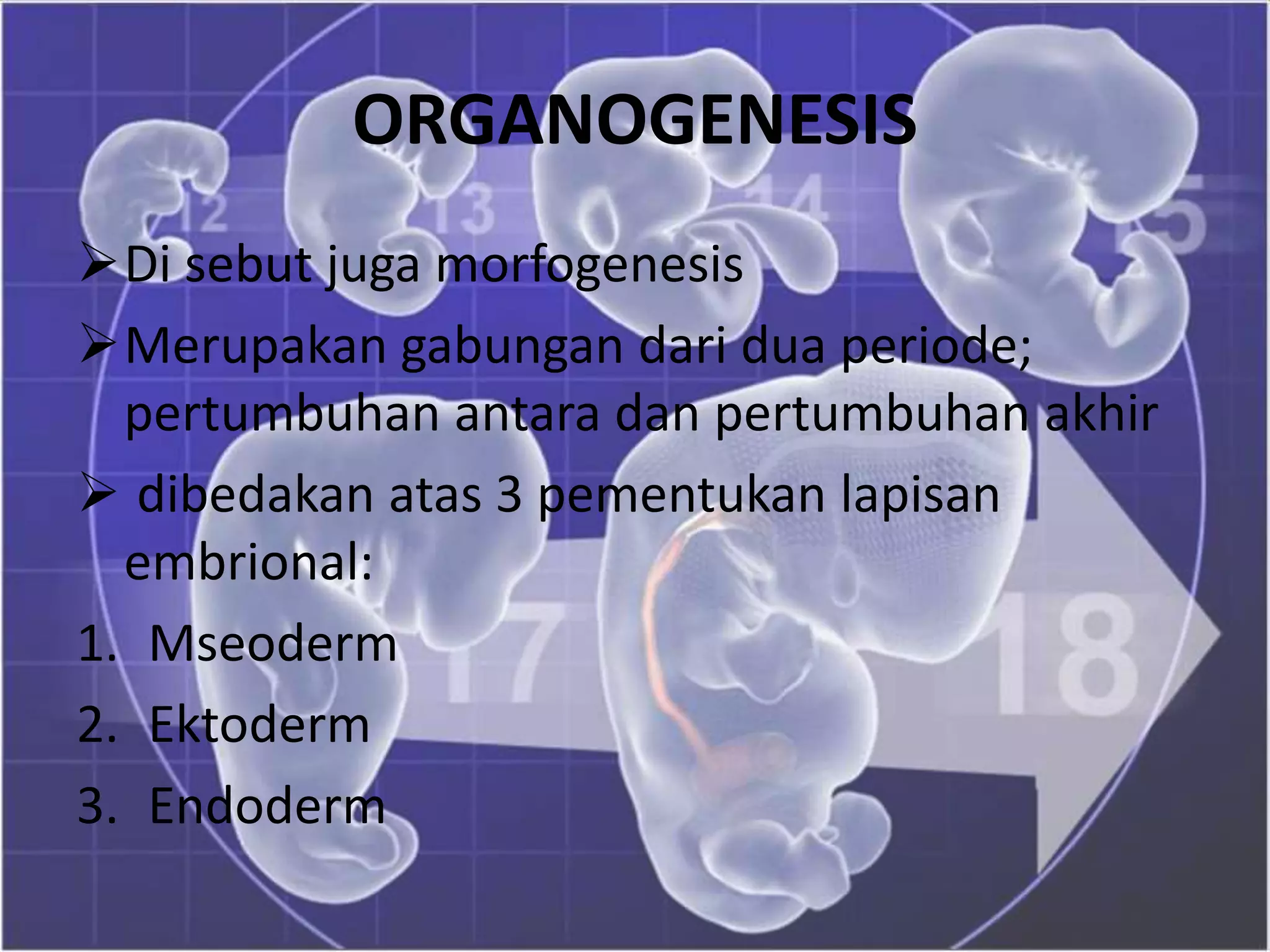 ORGANOGENESIS.pptx