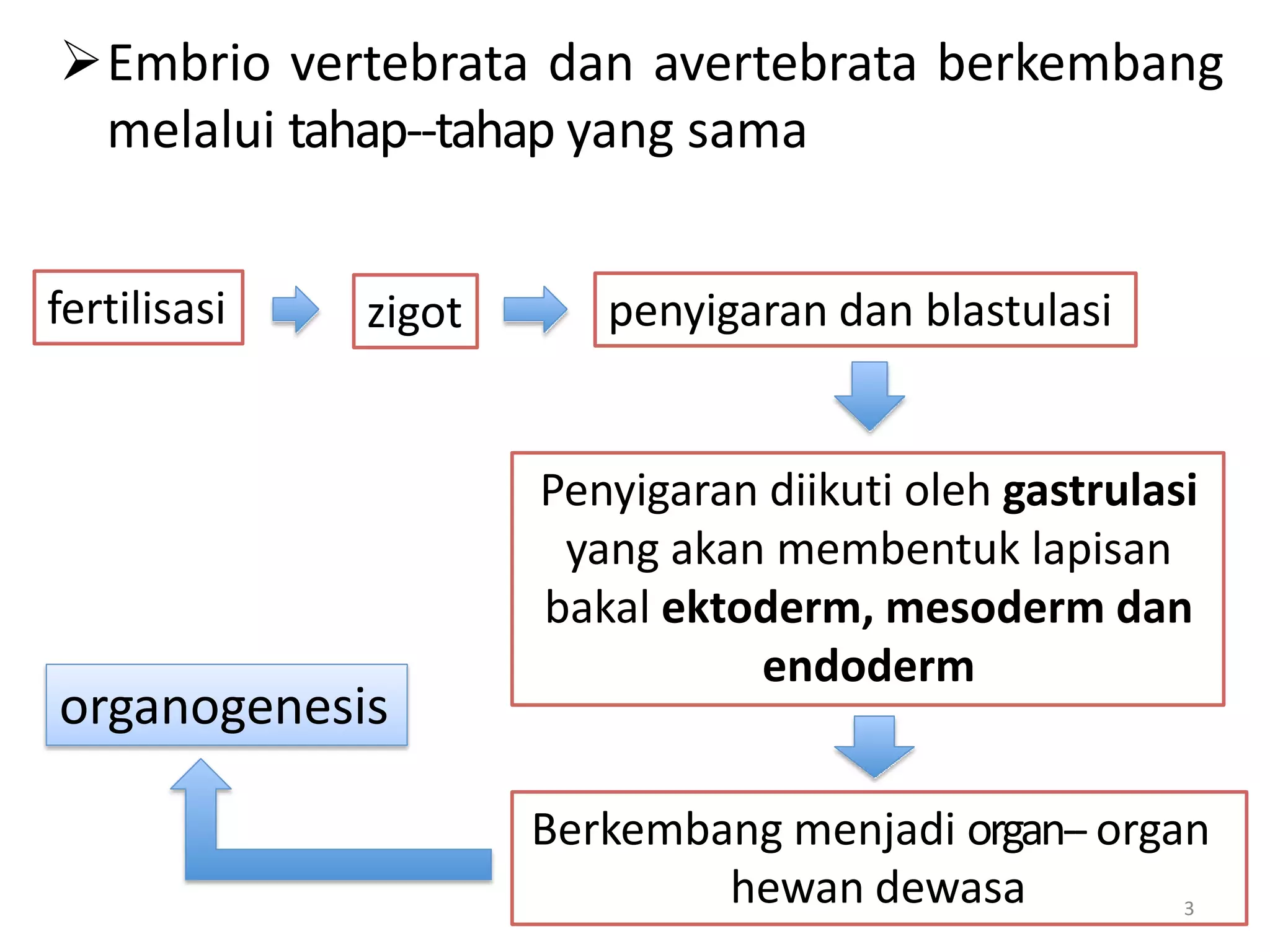 organogenesis.pptx