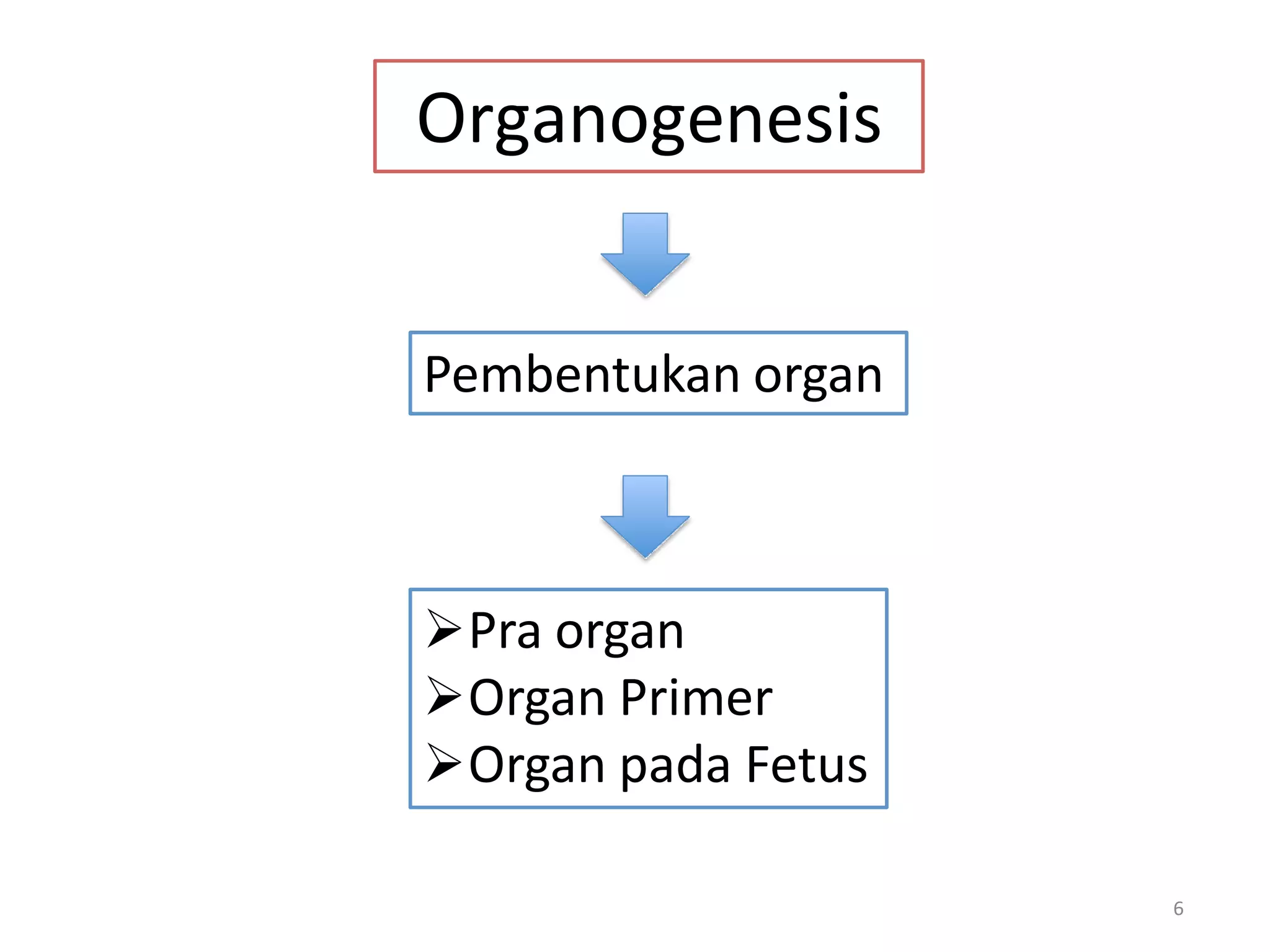 organogenesis.pptx
