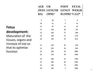 Organogenesis.pptx