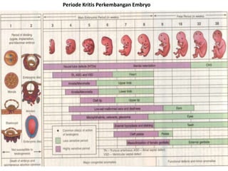 Organogenesis.pptx