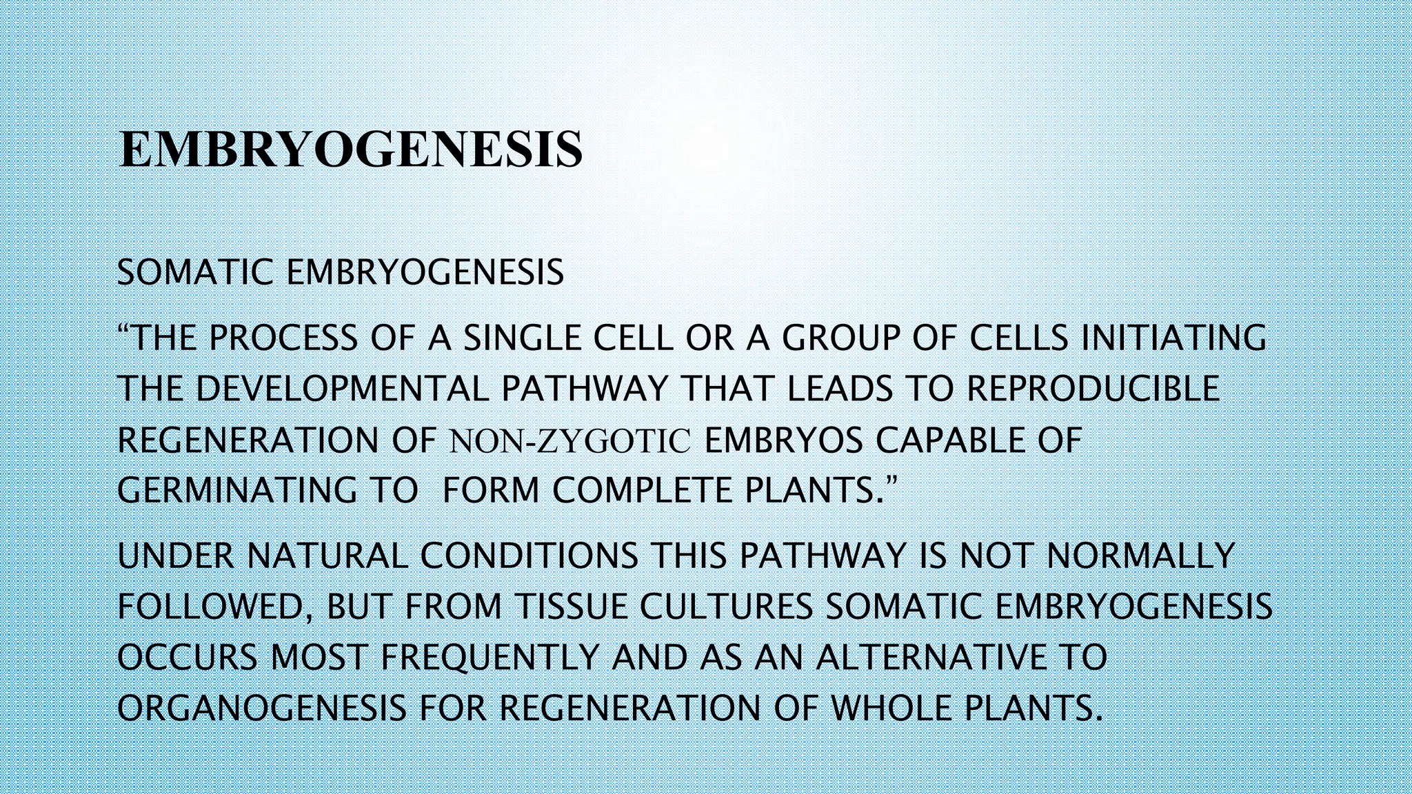 organogenesis and somatic embryogenesis.pptx