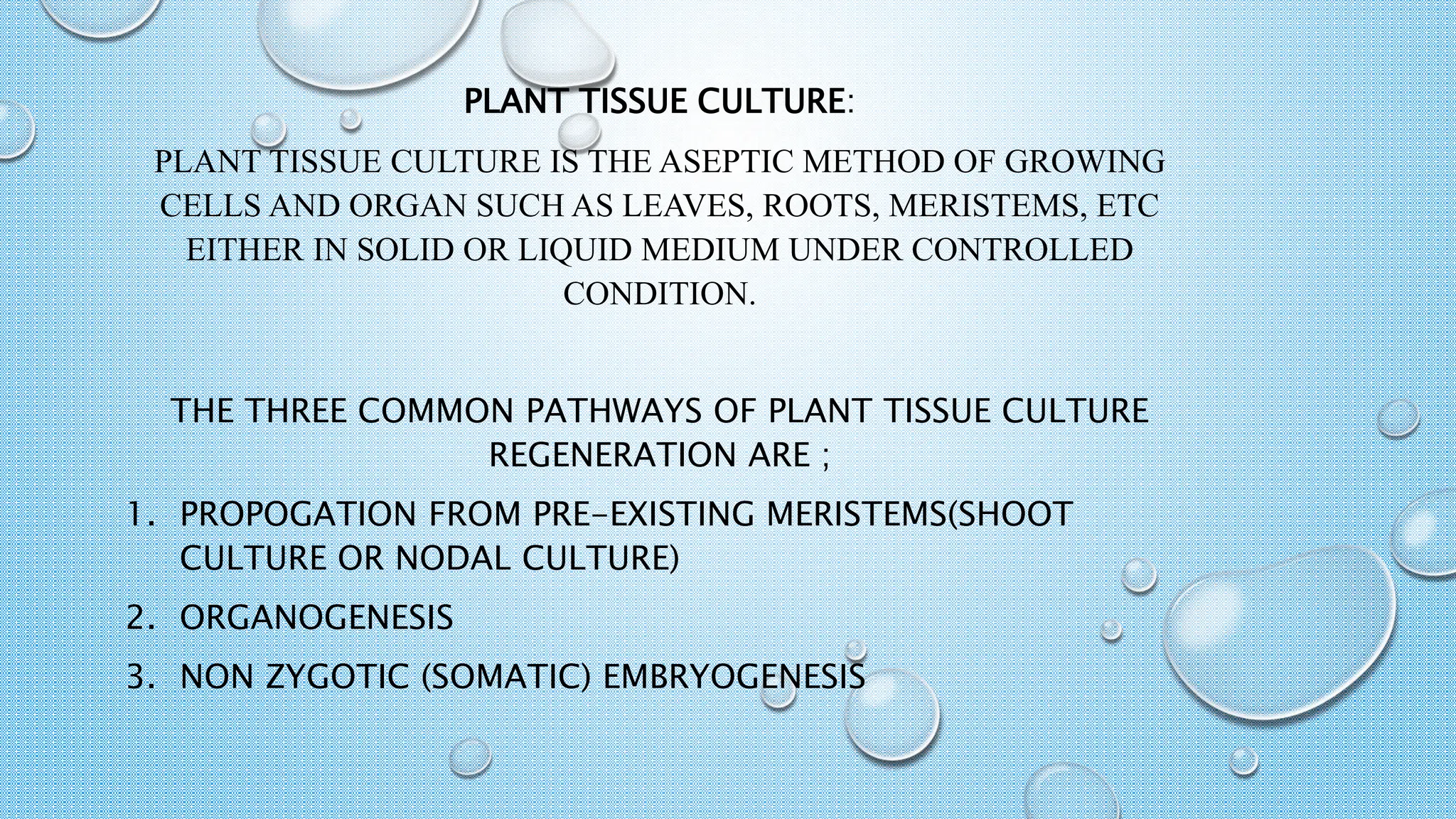 organogenesis and somatic embryogenesis.pptx