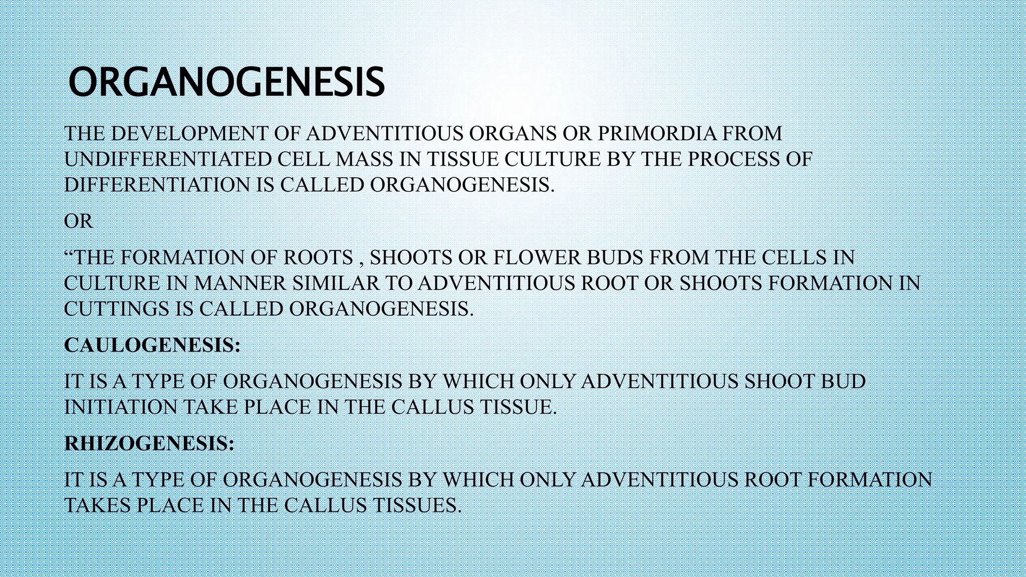 organogenesis and somatic embryogenesis.pptx