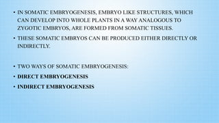 organogenesis and somatic embryogenesis.pptx