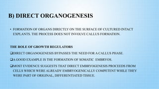 organogenesis and somatic embryogenesis.pptx