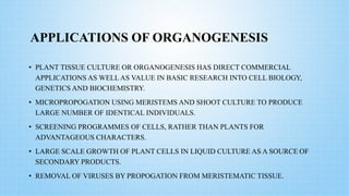 organogenesis and somatic embryogenesis.pptx