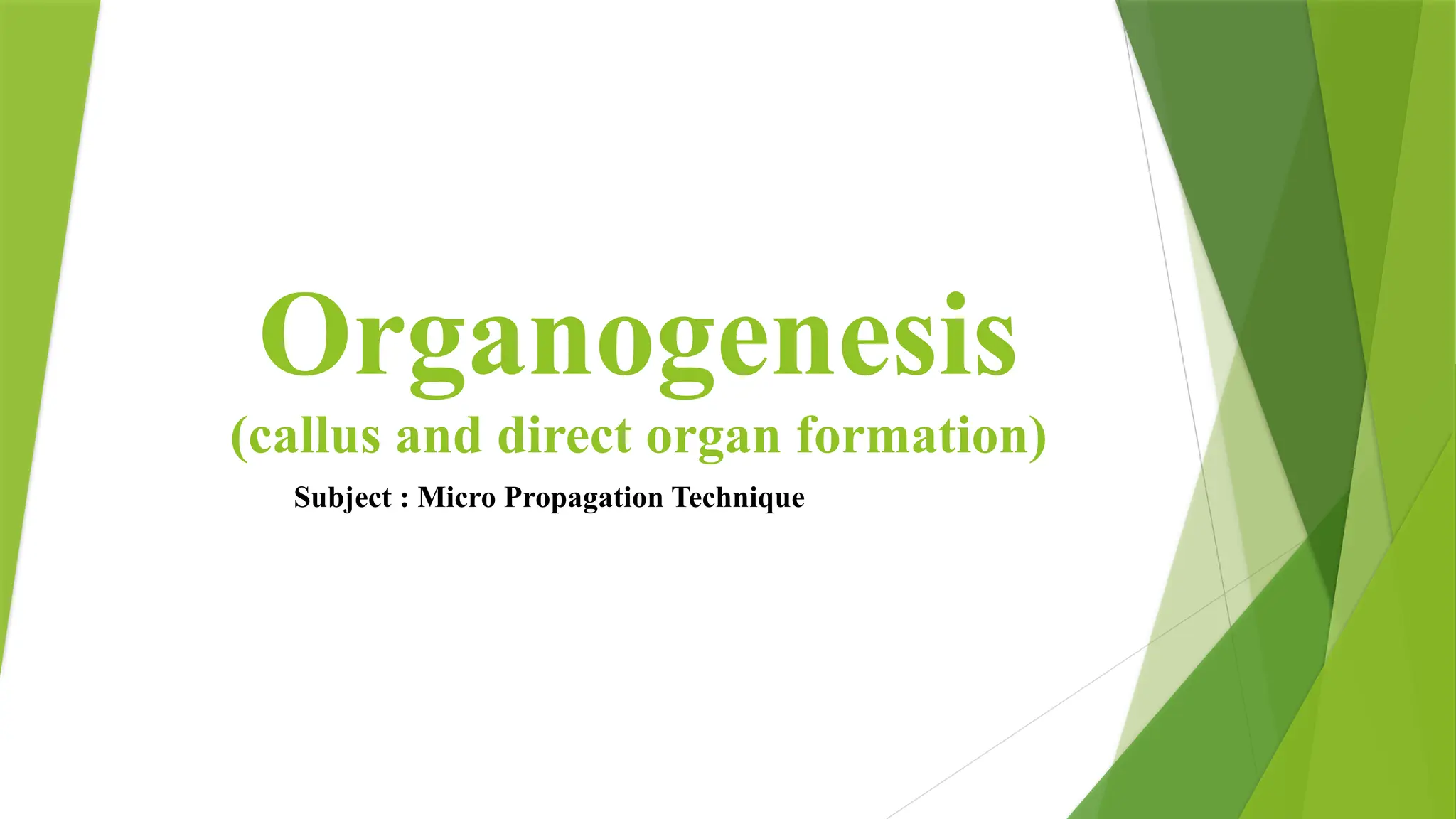 Organogenesis - Callus and direct organ formation | PPTX