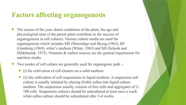Organogenesis - Callus and direct organ formation | PPTX