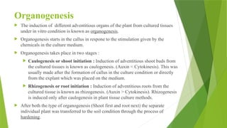 Organogenesis - Callus and direct organ formation | PPTX