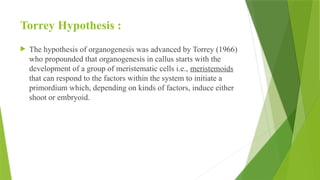 Organogenesis - Callus and direct organ formation | PPTX