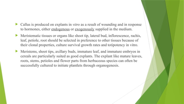 Organogenesis - Callus and direct organ formation | PPTX