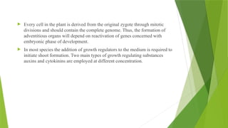 Organogenesis - Callus and direct organ formation | PPTX
