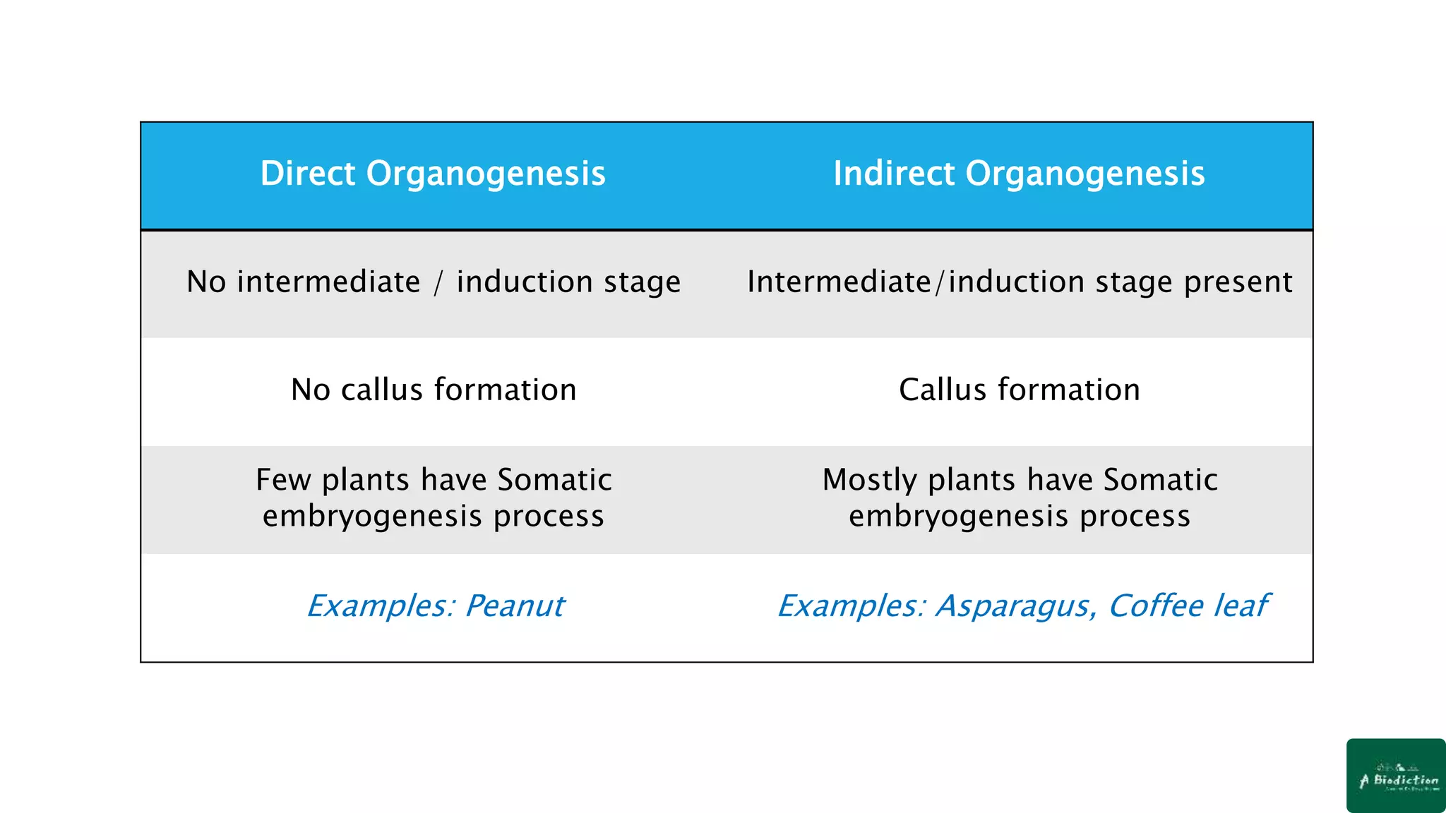 Plant Tissue Culture - Organogenesis | PPTX