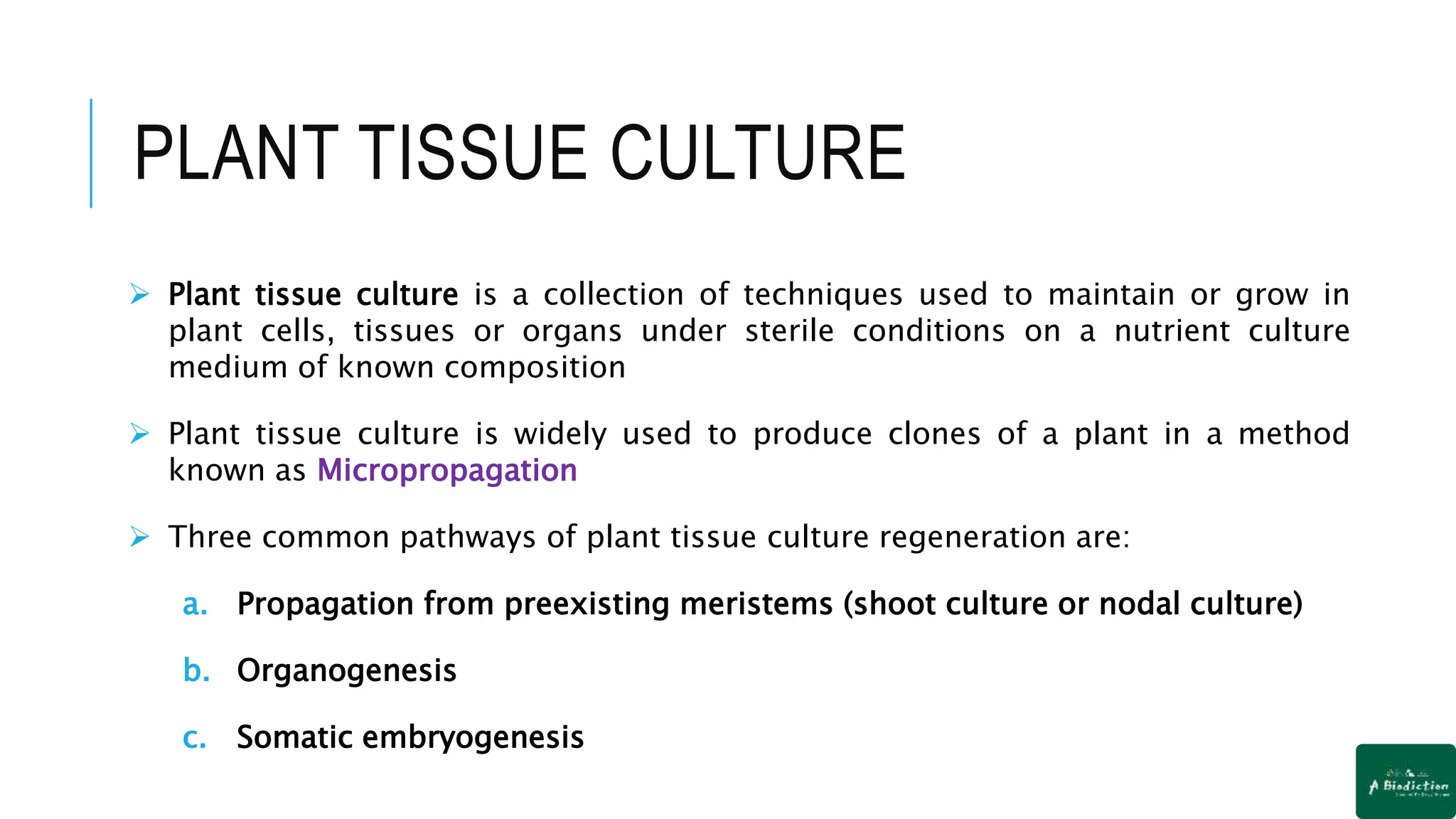 Plant Tissue Culture - Organogenesis | PPTX