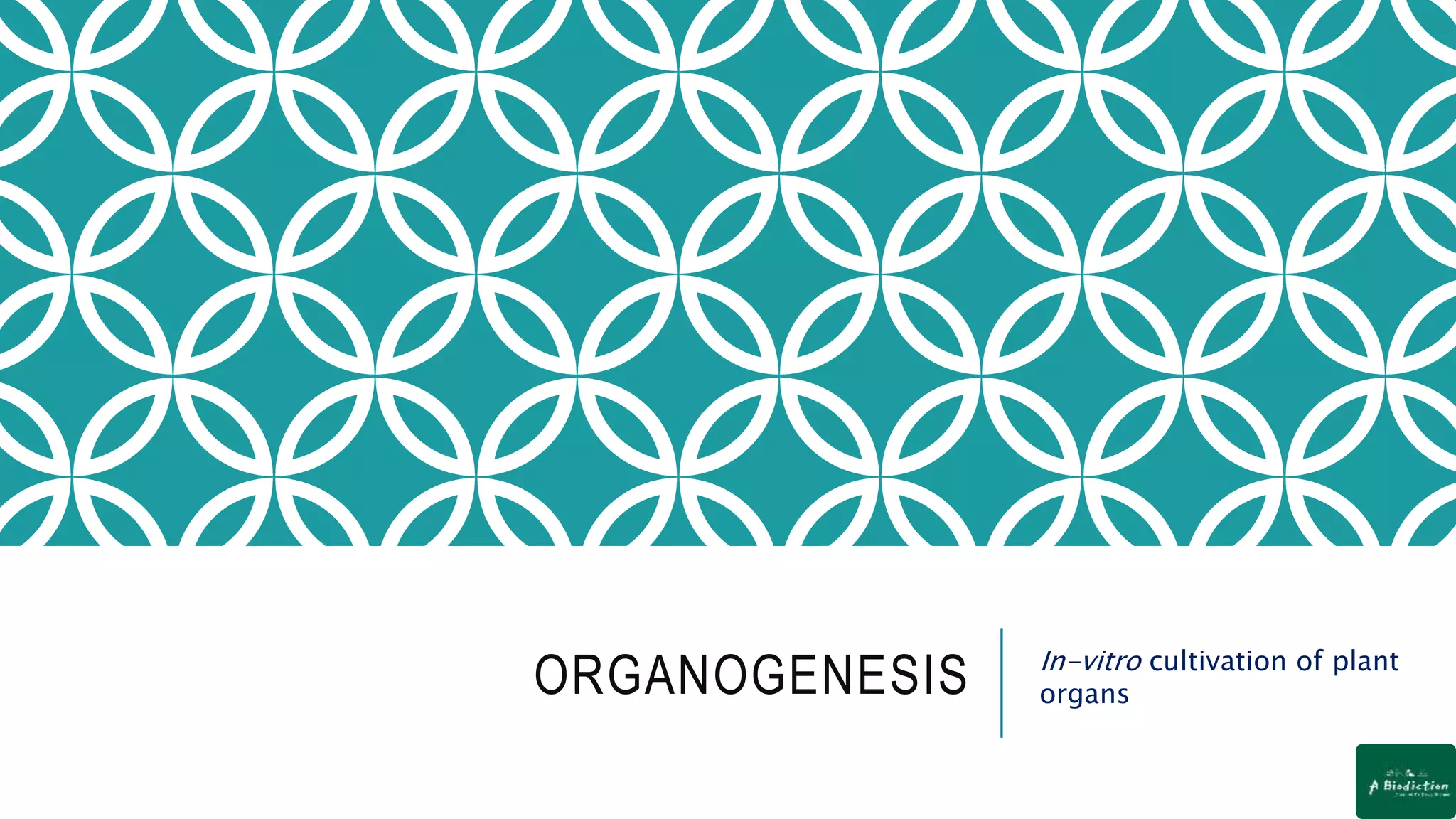 Plant Tissue Culture - Organogenesis | PPTX