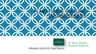 Plant Tissue Culture - Organogenesis | PPTX
