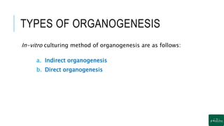 Plant Tissue Culture - Organogenesis | PPTX