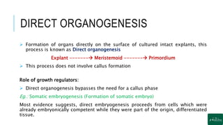 Plant Tissue Culture - Organogenesis | PPTX