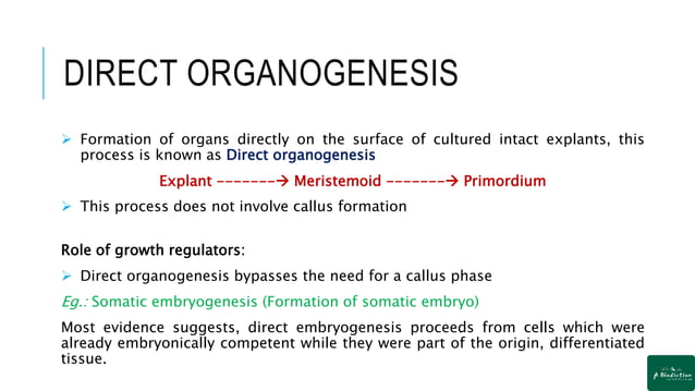 Plant Tissue Culture - Organogenesis | PPTX