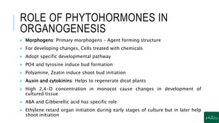 Plant Tissue Culture - Organogenesis | PPTX