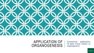 Plant Tissue Culture - Organogenesis | PPTX