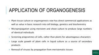 Plant Tissue Culture - Organogenesis | PPTX