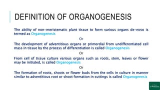 Plant Tissue Culture - Organogenesis | PPTX