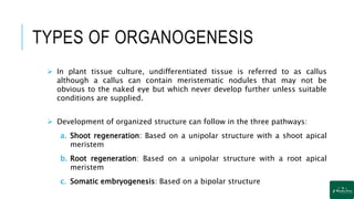 Plant Tissue Culture - Organogenesis | PPTX