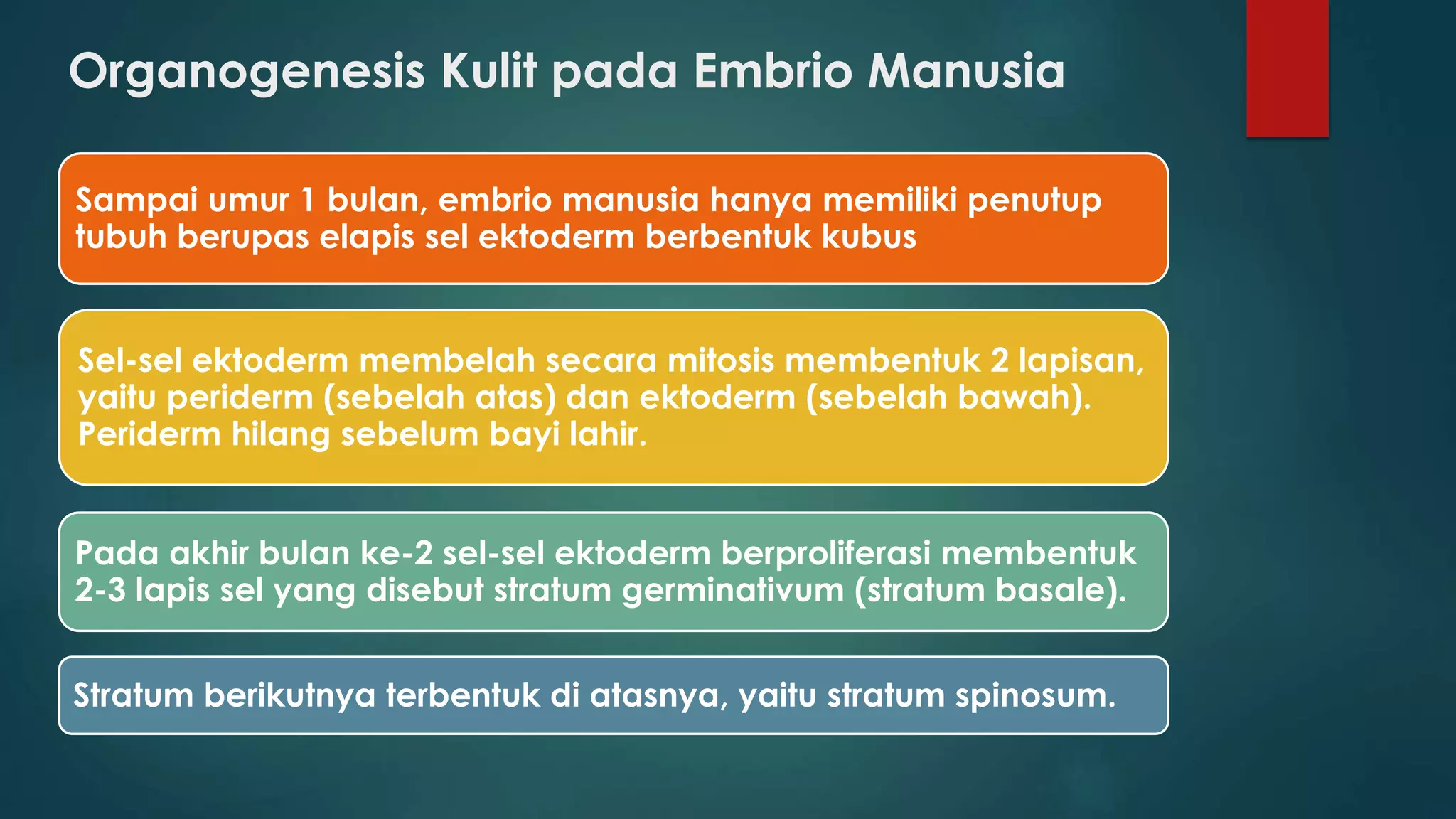 Organogenesis 2 | PPTX