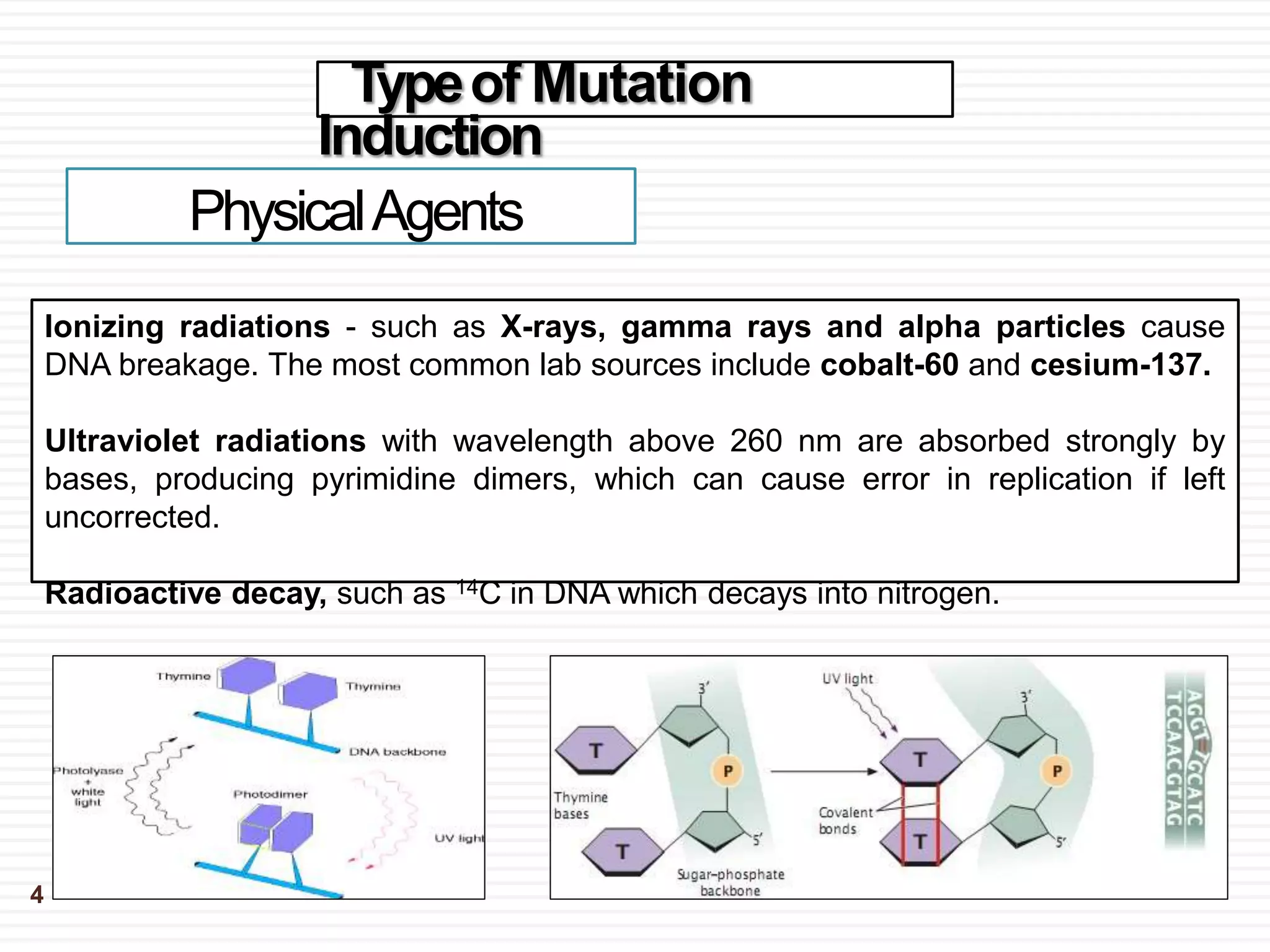 Organogenesis and somatic embryogenesis - In vitro mutant selection for ...