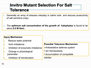 Organogenesis and somatic embryogenesis - In vitro mutant selection for ...