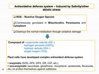 Organogenesis and somatic embryogenesis - In vitro mutant selection for ...