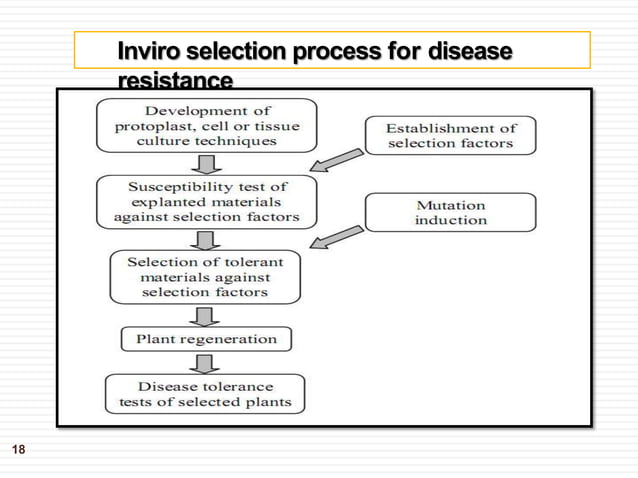 Organogenesis and somatic embryogenesis - In vitro mutant selection for ...
