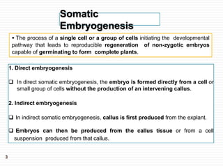 Organogenesis and somatic embryogenesis - In vitro mutant selection for ...