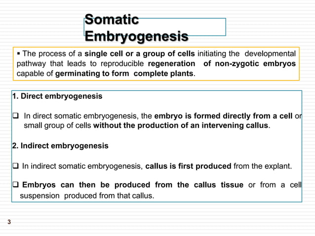 Organogenesis and somatic embryogenesis - In vitro mutant selection for ...