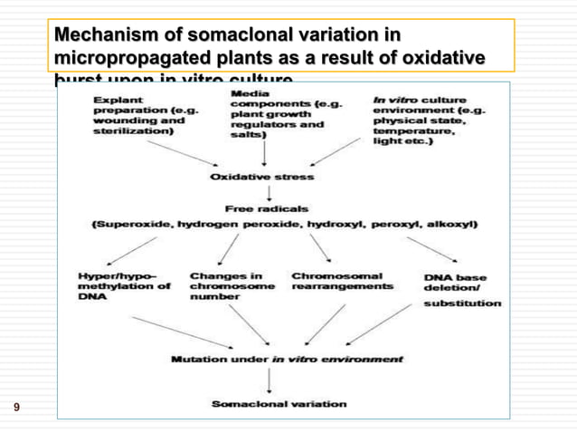 Organogenesis and somatic embryogenesis - In vitro mutant selection for ...