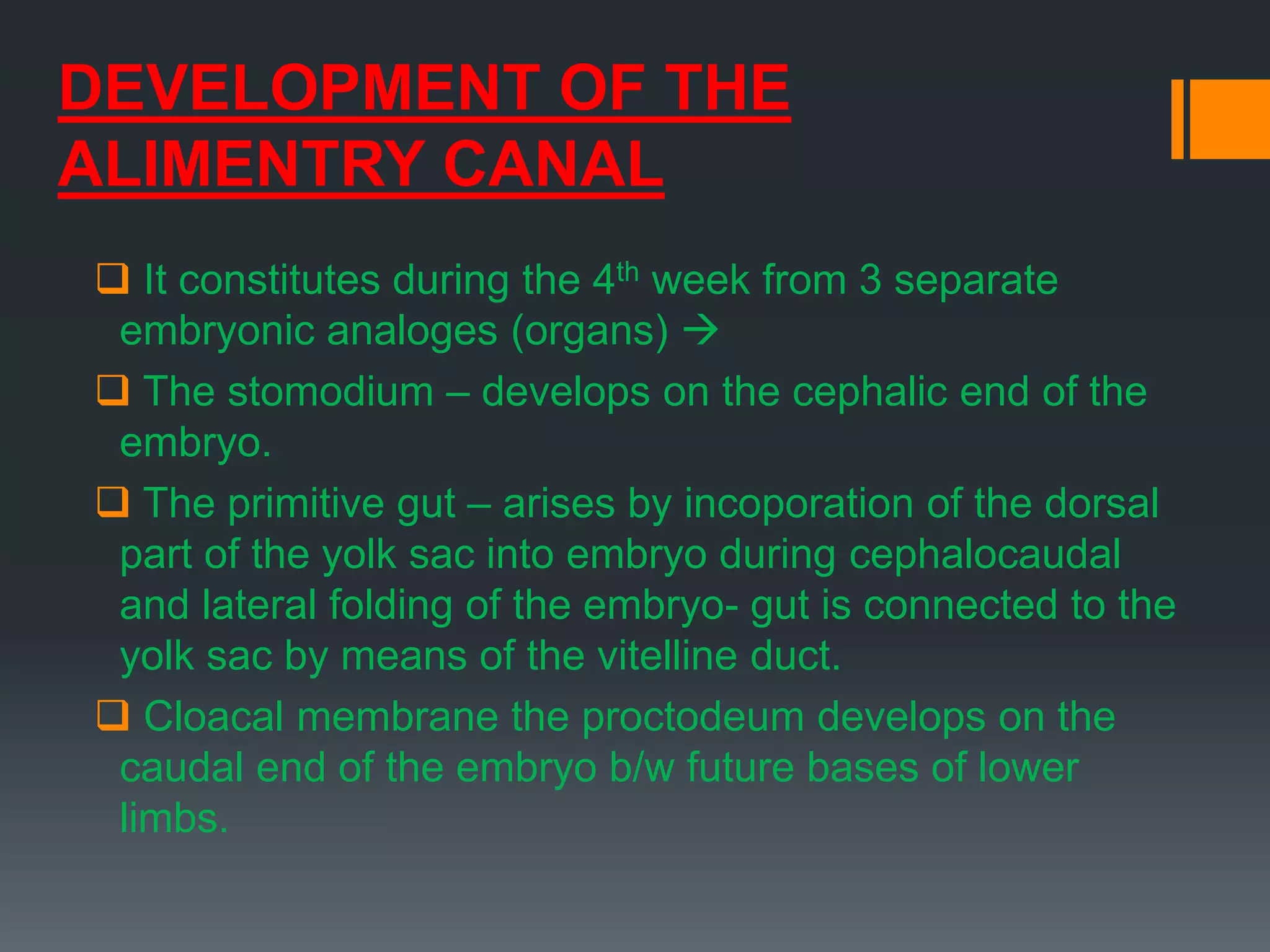 Organogenesis of Alimentry Canal | PPTX