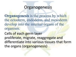 organogenesistossif-131119105135-phpapp02.pdf