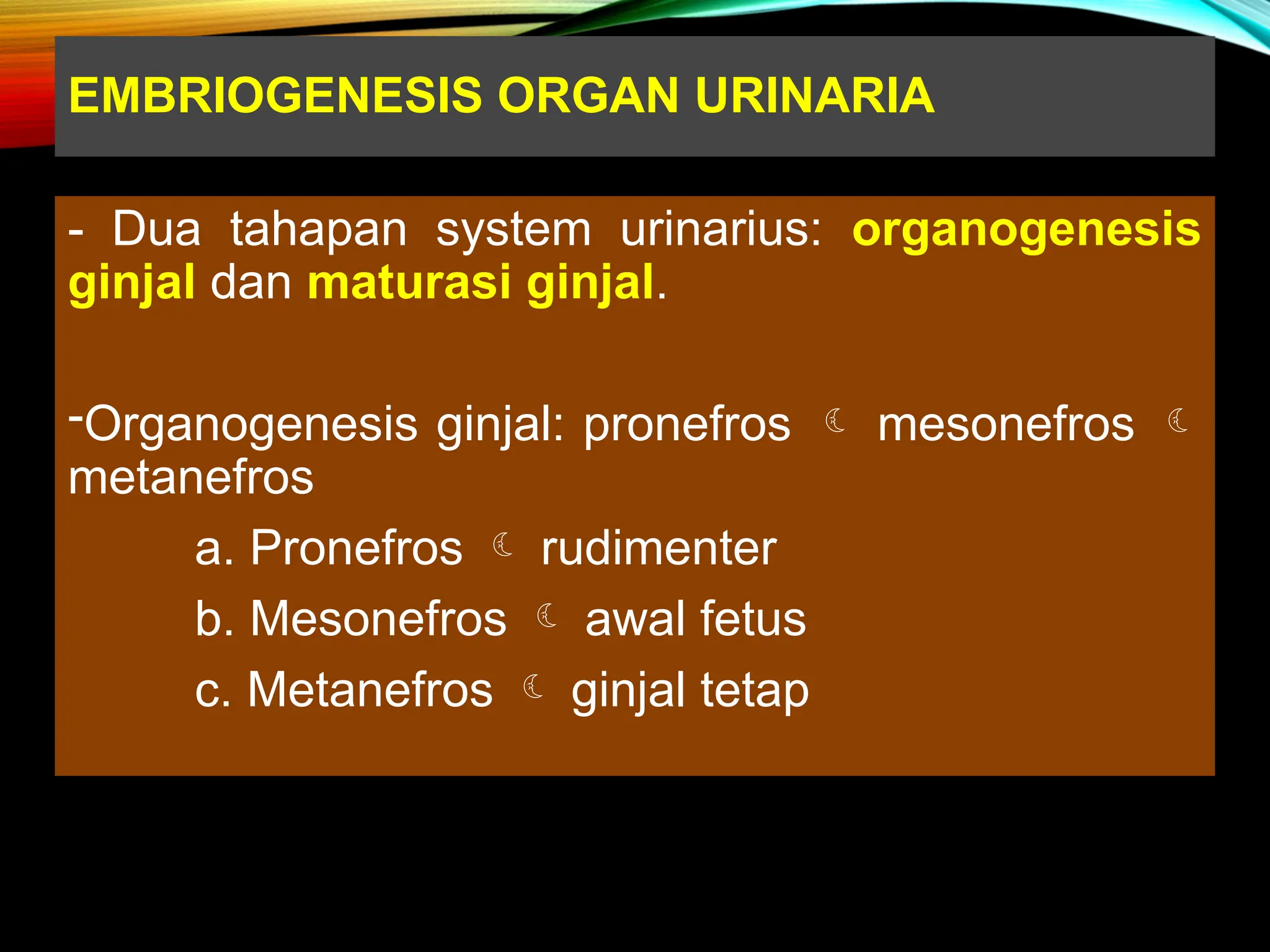 Organogenesis Urogenital Biologi Unair ppt | PPTX