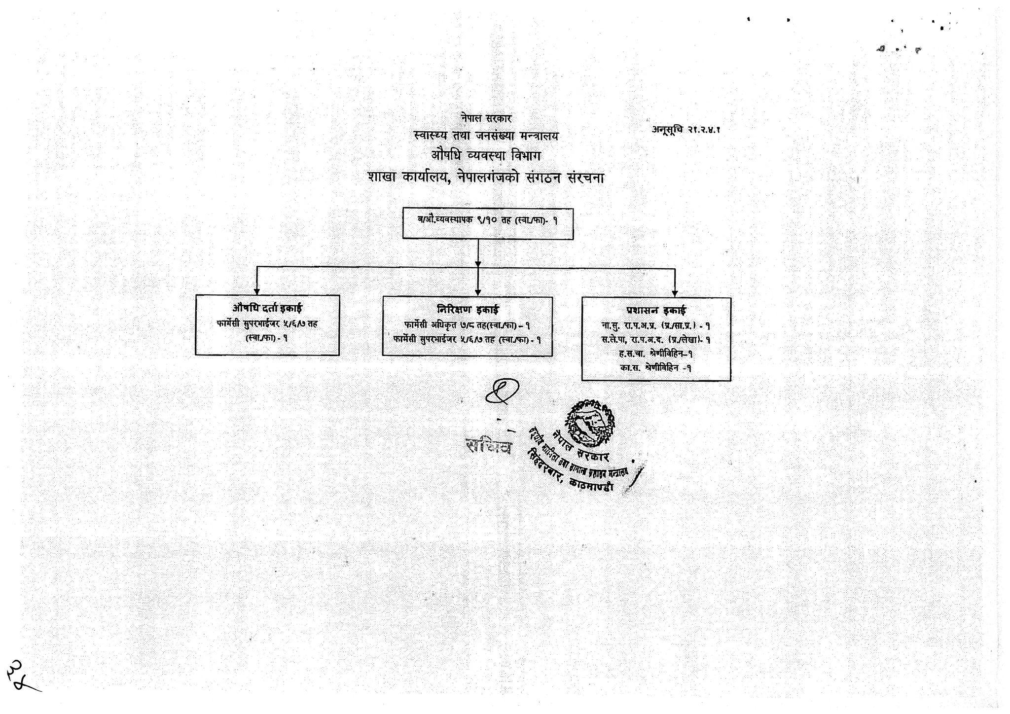Organogram of Ministry Of Health and Population !! | PDF