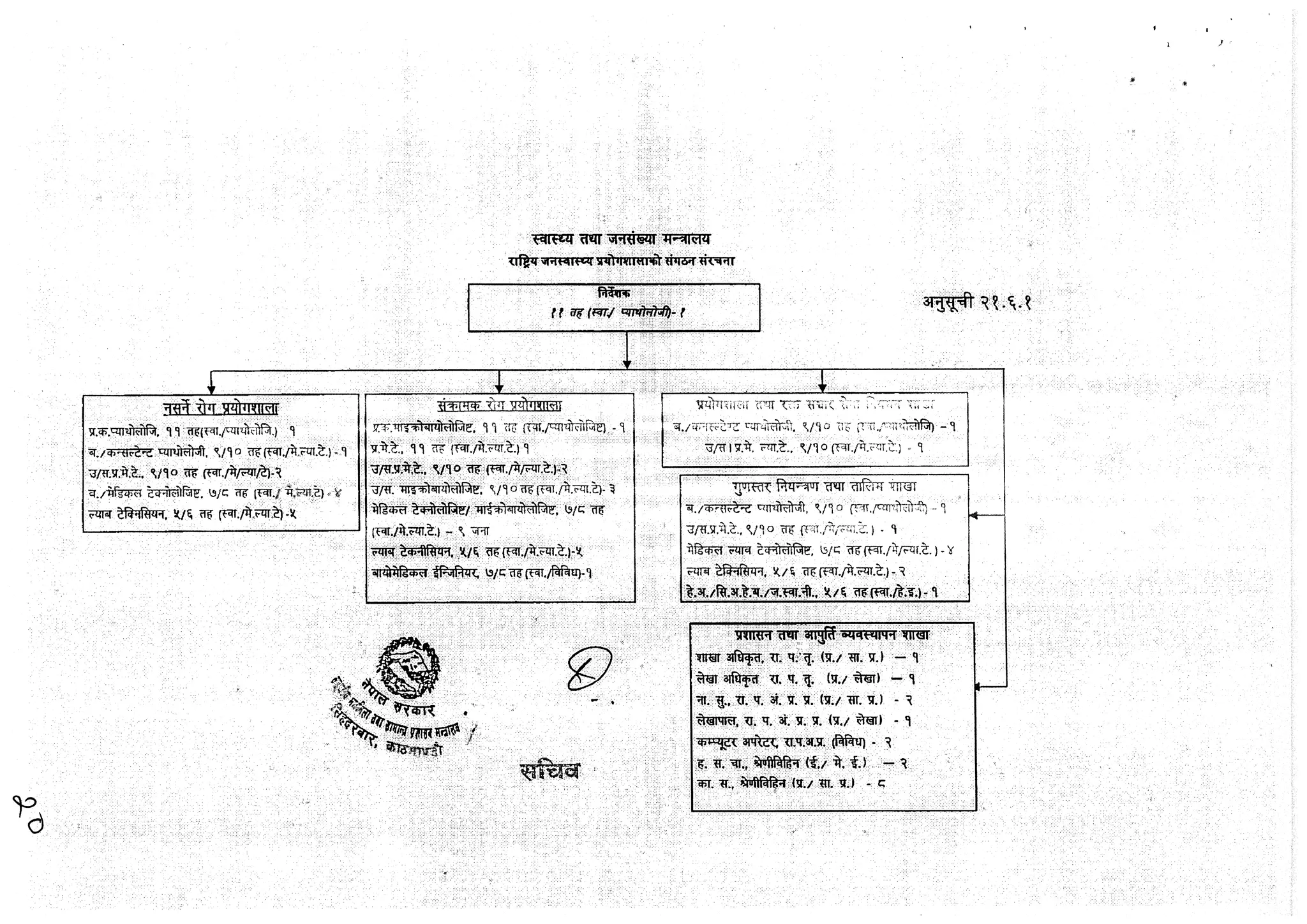 Organogram of Ministry Of Health and Population !! | PDF