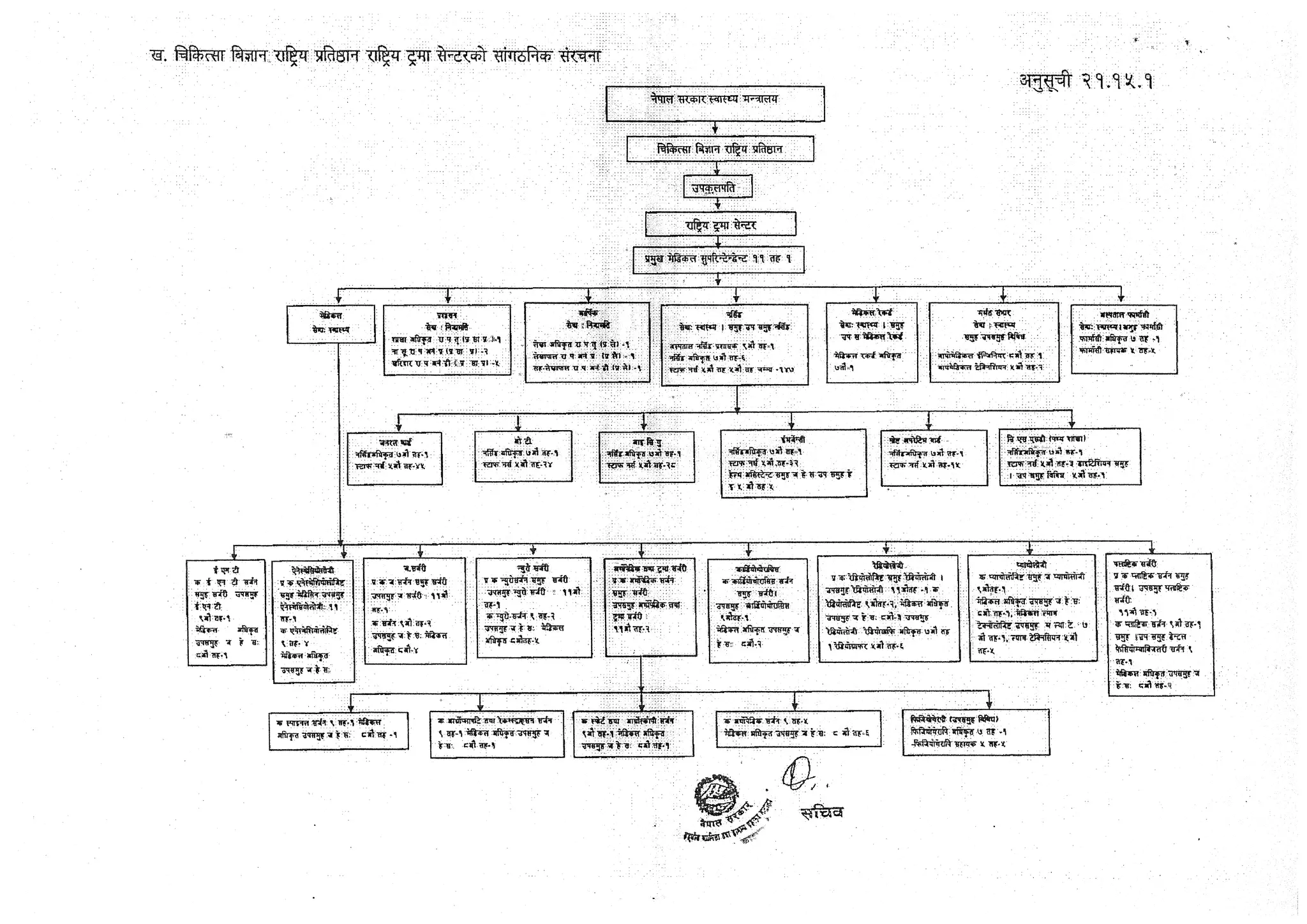 Organogram of Ministry Of Health and Population !! | PDF