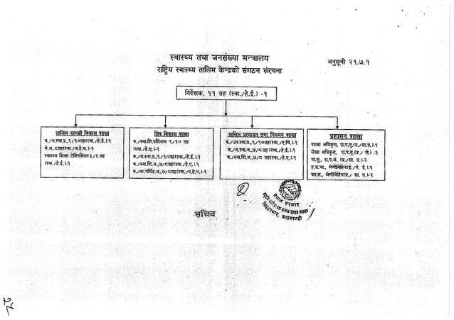 Organogram of Ministry Of Health and Population !! | PDF