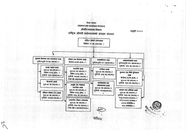 Organogram of Ministry Of Health and Population !! | PDF