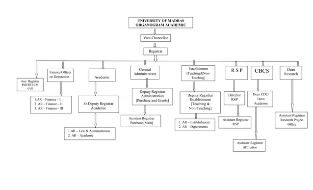 organization academic chart of an education university | PDF